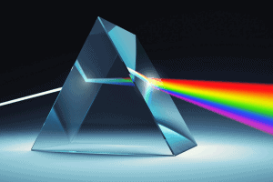 What Are Porro Prism Binoculars? Find Out Here!